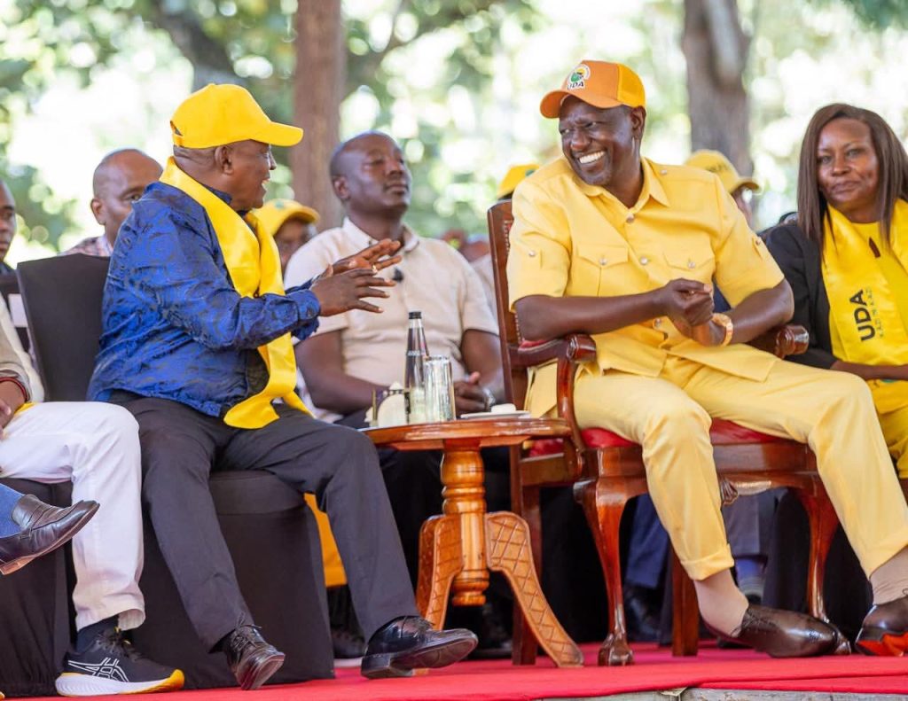 Ruto Reasserts Influence in Mt. Kenya as UDA Mobilisation Signals ...